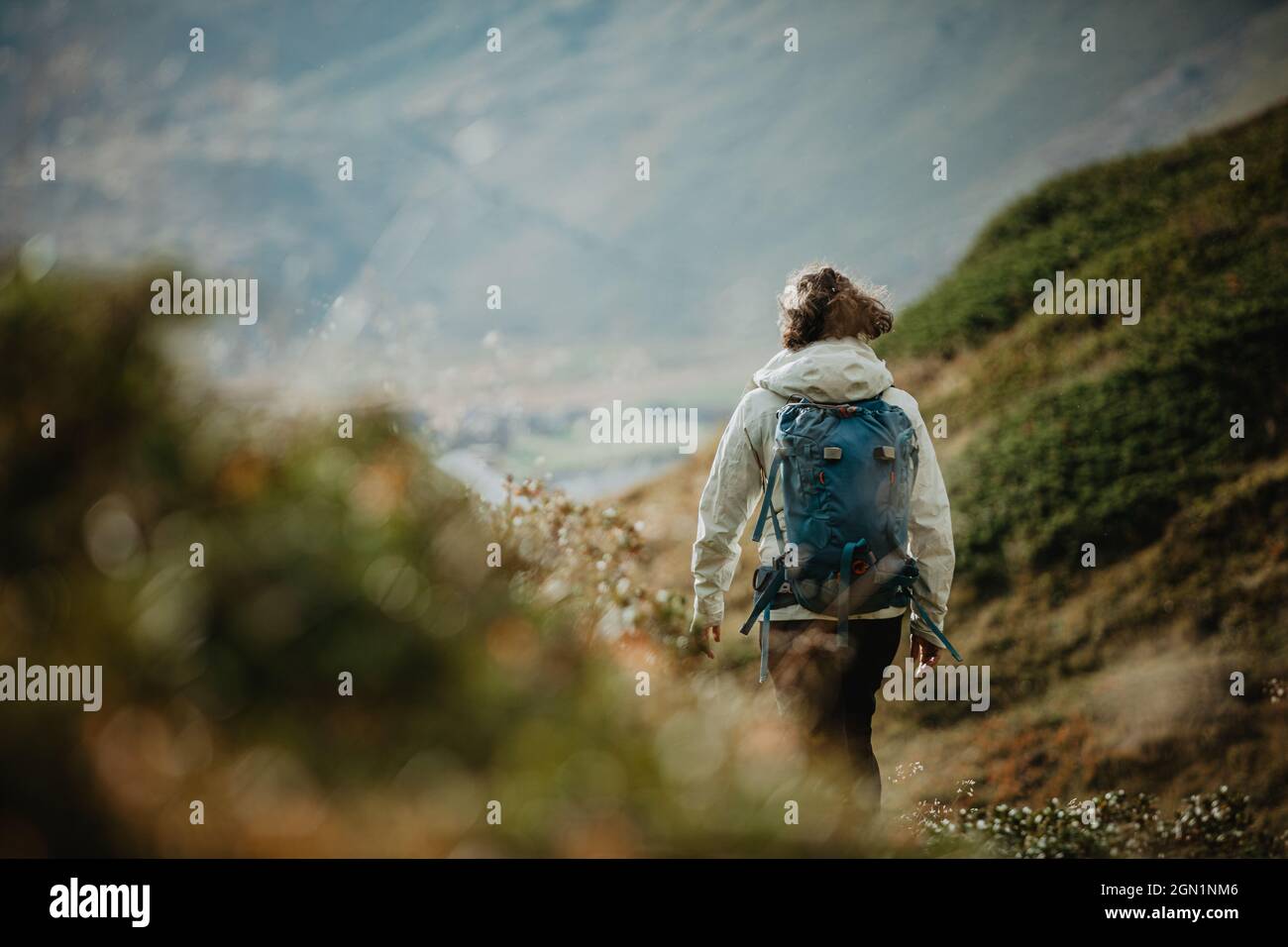 Wanderin hi-res stock photography and images - Alamy