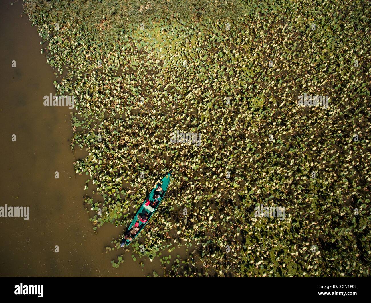 Aerial view of motorboat excursion to wetlands in the Volga Delta with ...