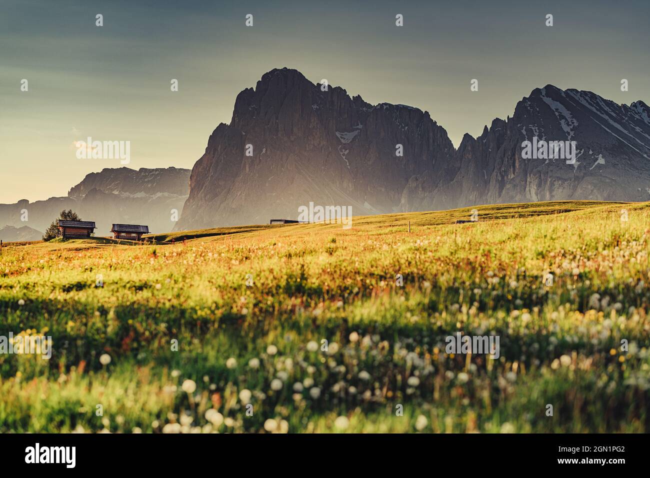 Sunrise on the Seiser Alm in South Tyrol, Italy, Europe Stock Photo - Alamy