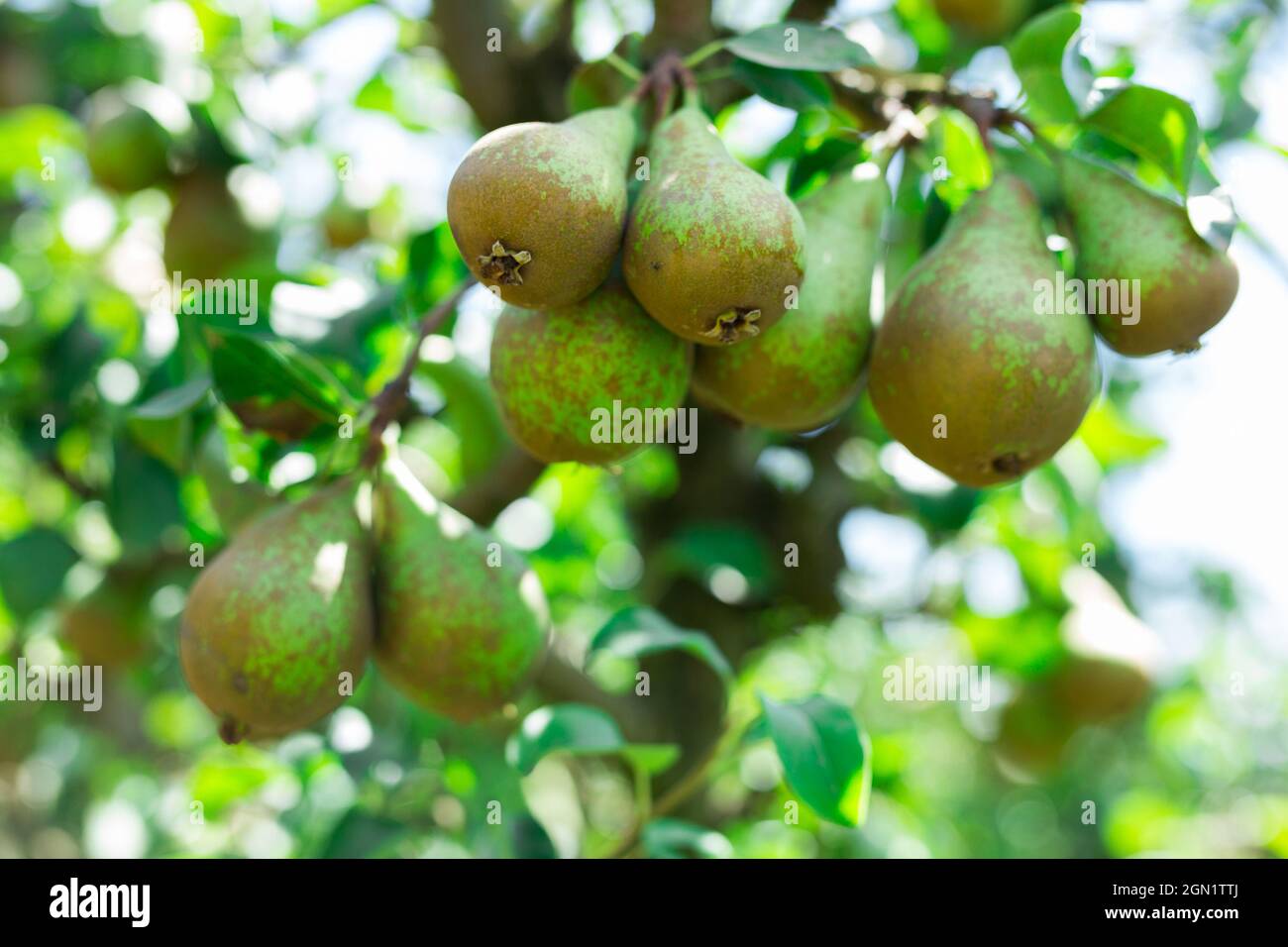 Fall conference hi-res stock photography and images - Alamy
