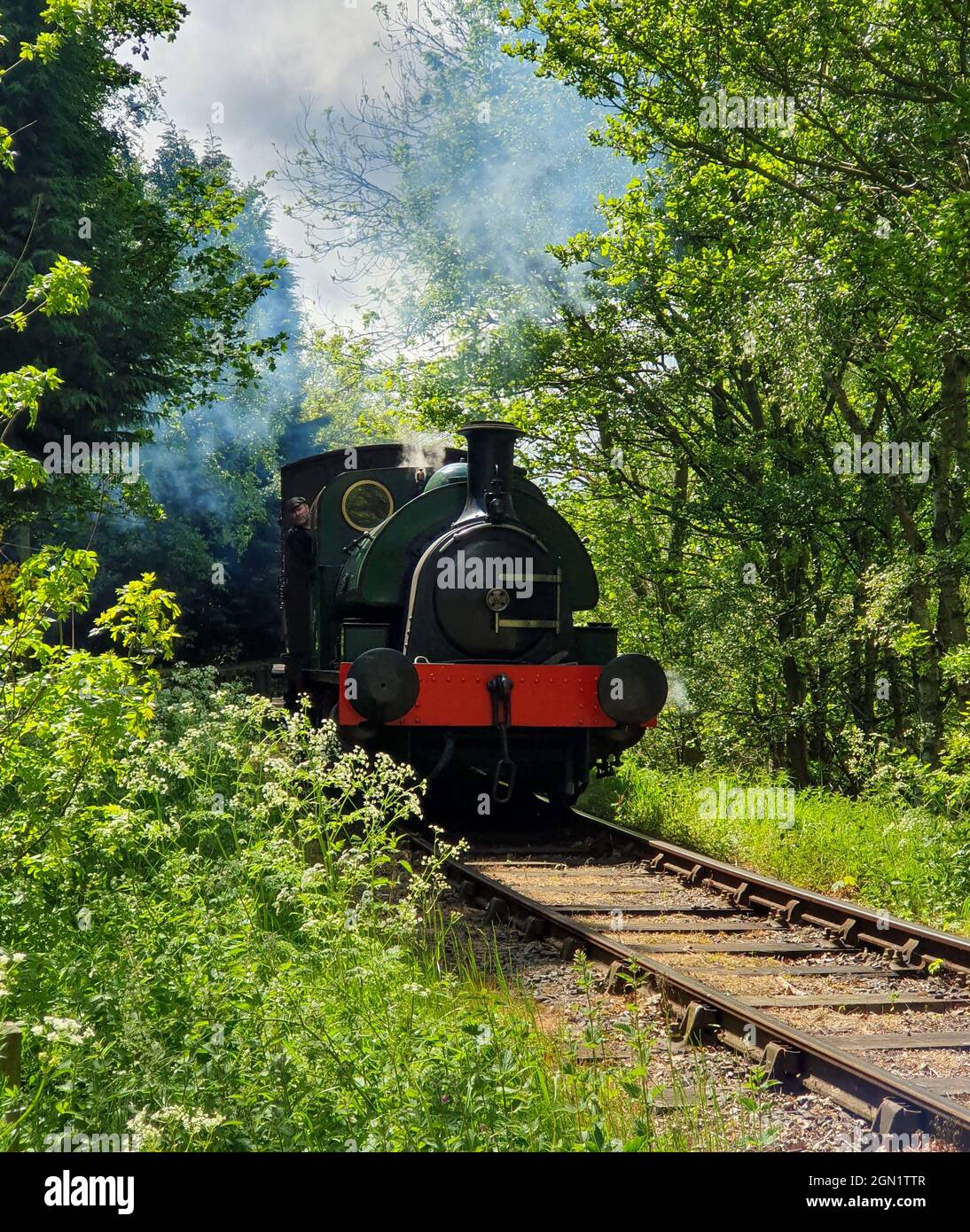 Express train on the railway track surrounded by trees Stock Photo - Alamy