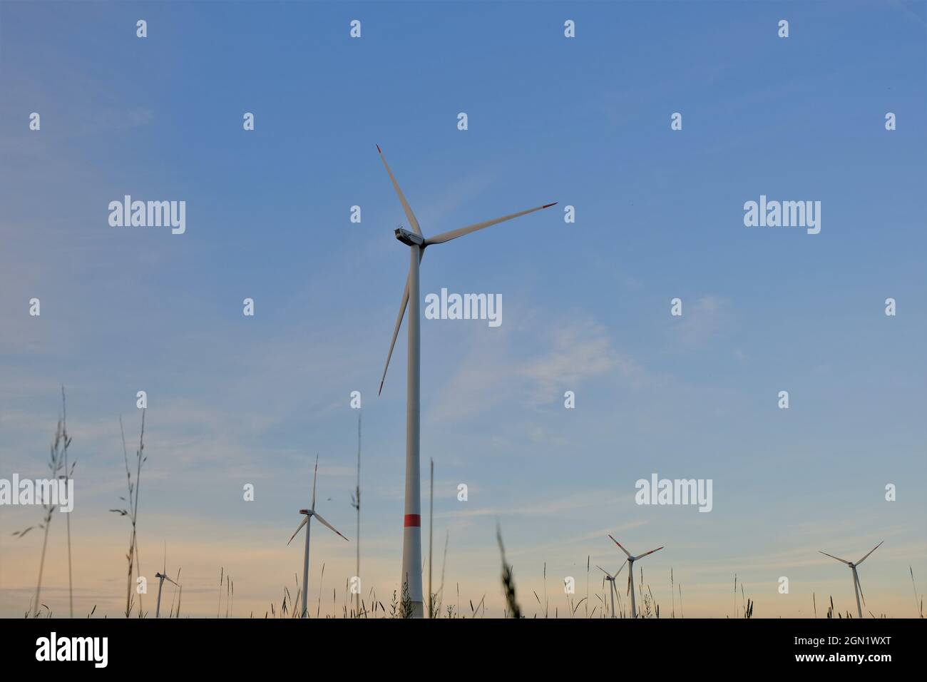 Wind turbines in field. Alternative energy sources. Natural energy ...