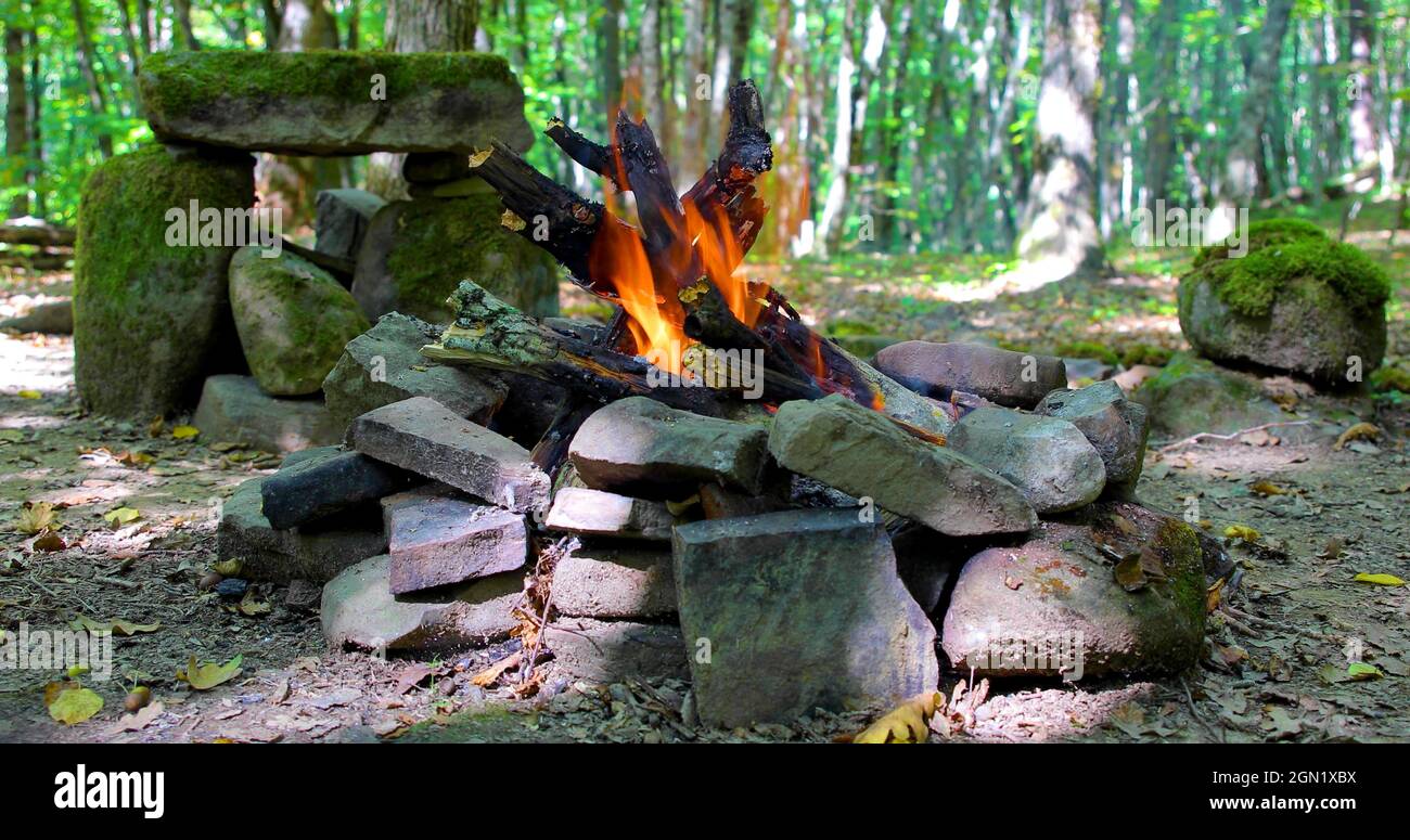 Campfire in the forest hi-res stock photography and images - Alamy