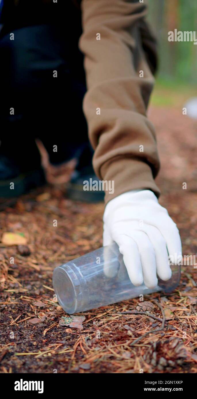 Arm of a man who is cleaning a forest Stock Photo - Alamy