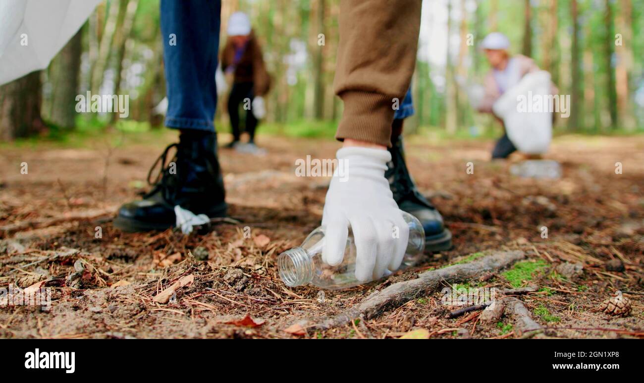 Hand of a man who is cleaning a forest Stock Photo - Alamy