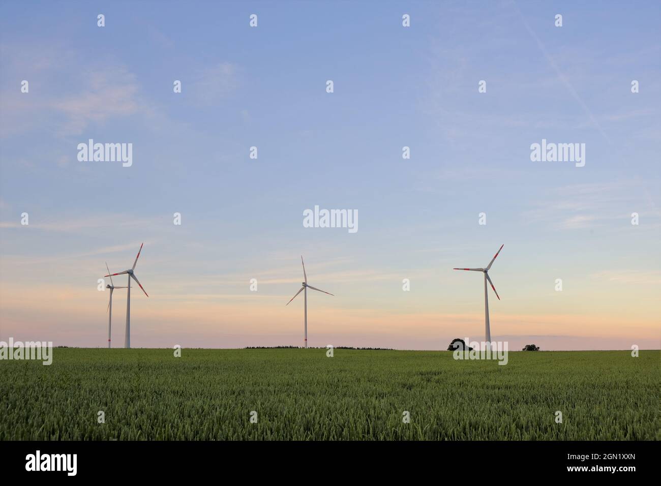 Wind turbines in field. Alternative energy sources. Natural energy ...