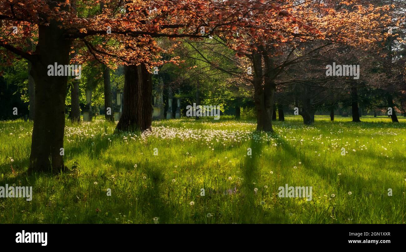1600 venezia hi-res stock photography and images - Alamy