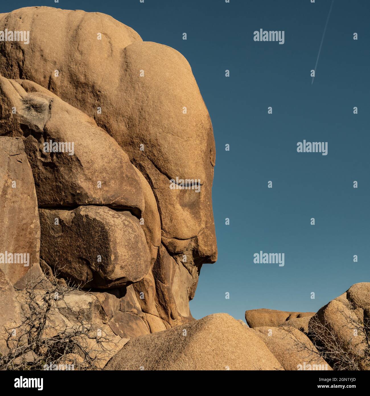 Face Profile in Joshua Tree National Park with blue sky Stock Photo - Alamy