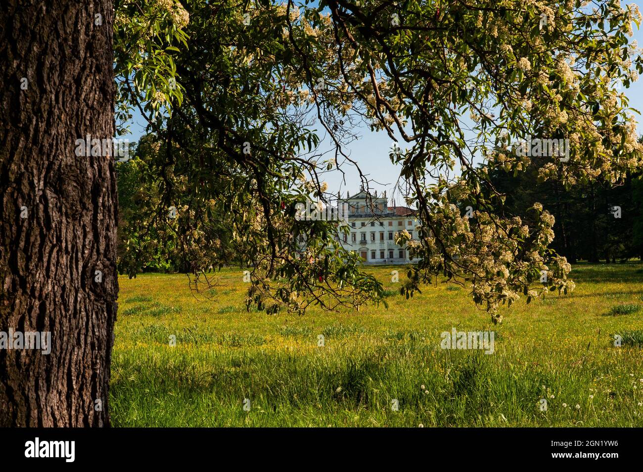 The park and the back of Villa Manin, a Venetian villa from the 1600s ...