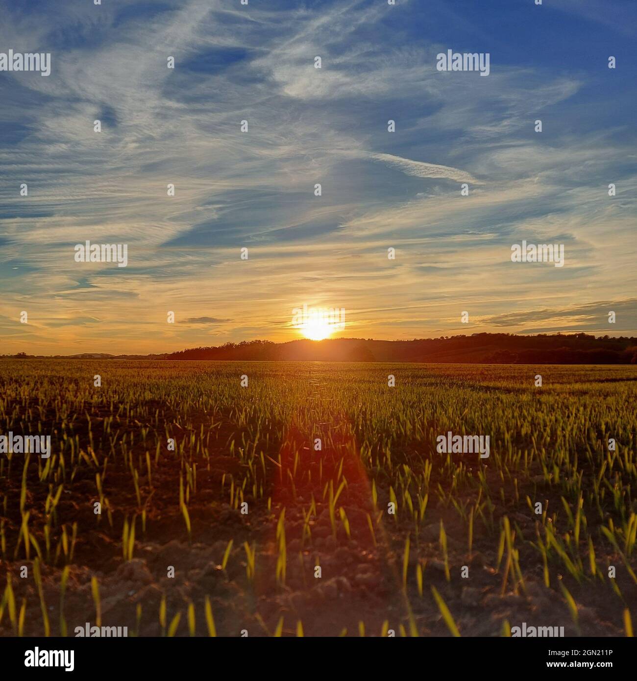 Sun shining across farm hi-res stock photography and images - Alamy