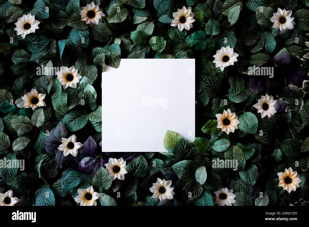 Beautiful floral background with white flowers and square paper space ...