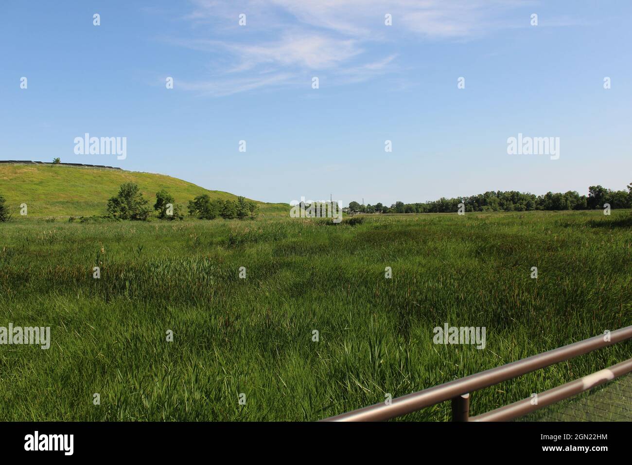 The grass world Stock Photo - Alamy