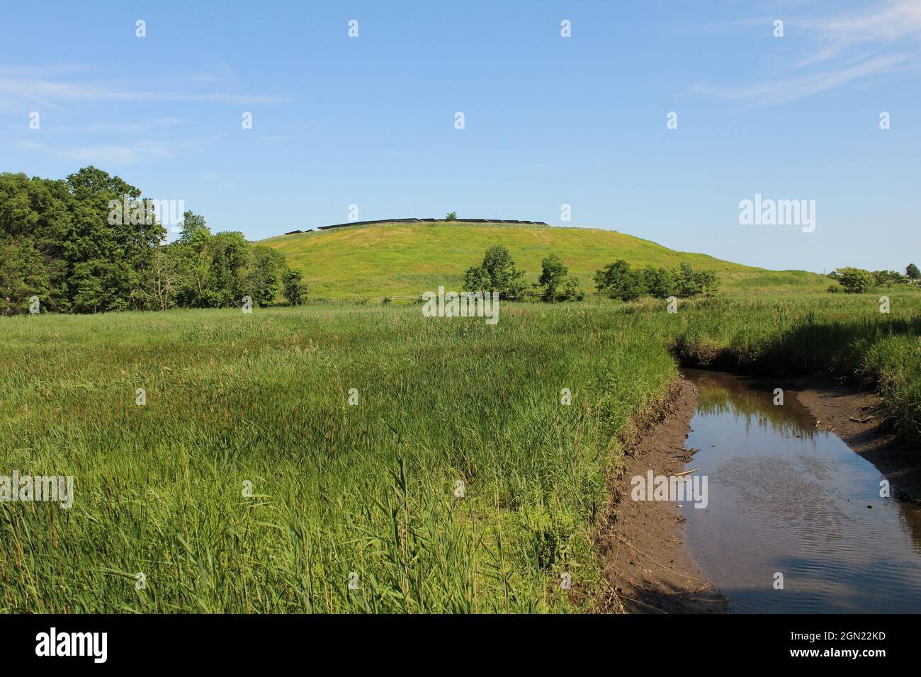 The grass world Stock Photo - Alamy
