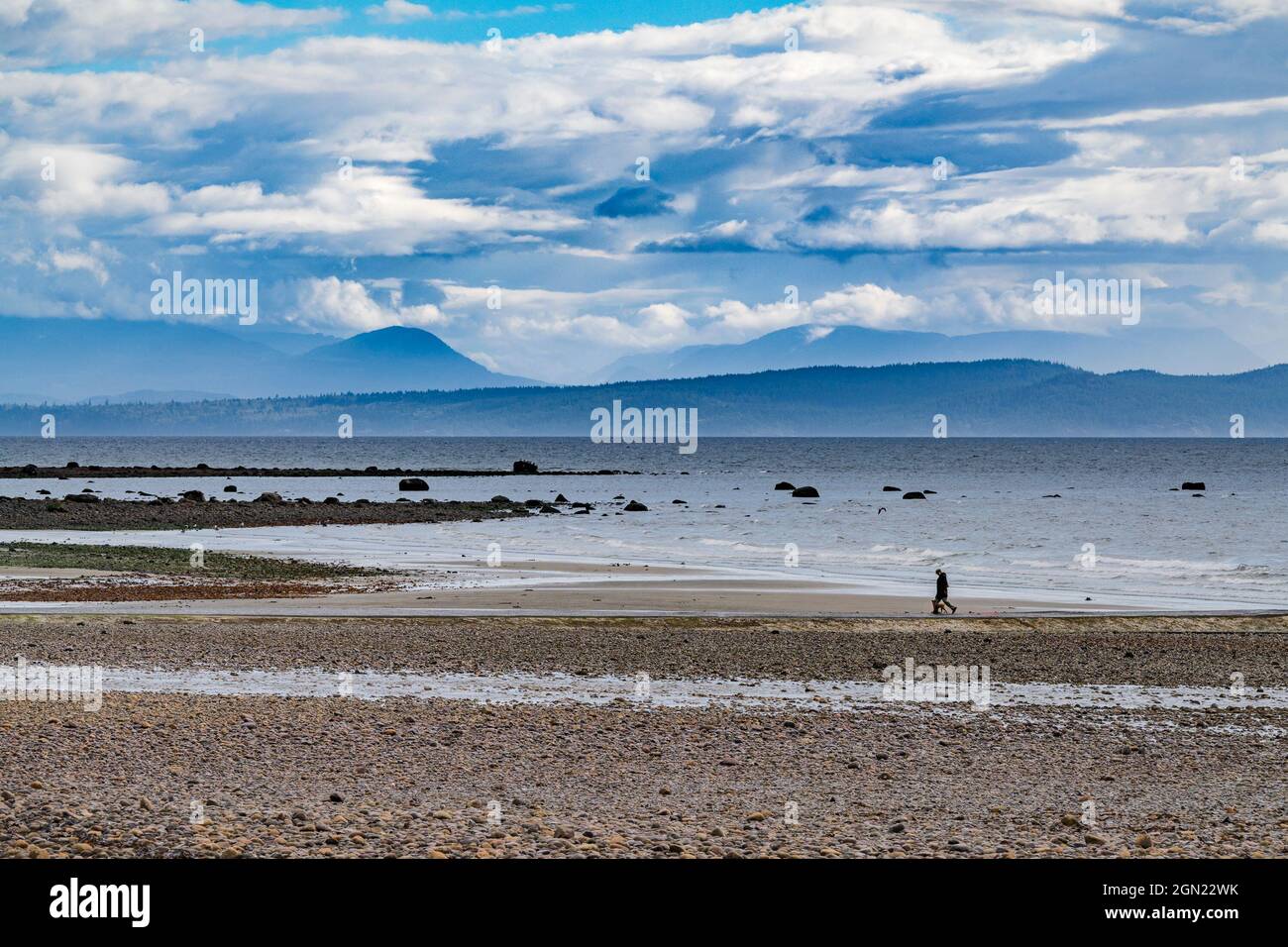 Point holmes comox hi-res stock photography and images - Alamy