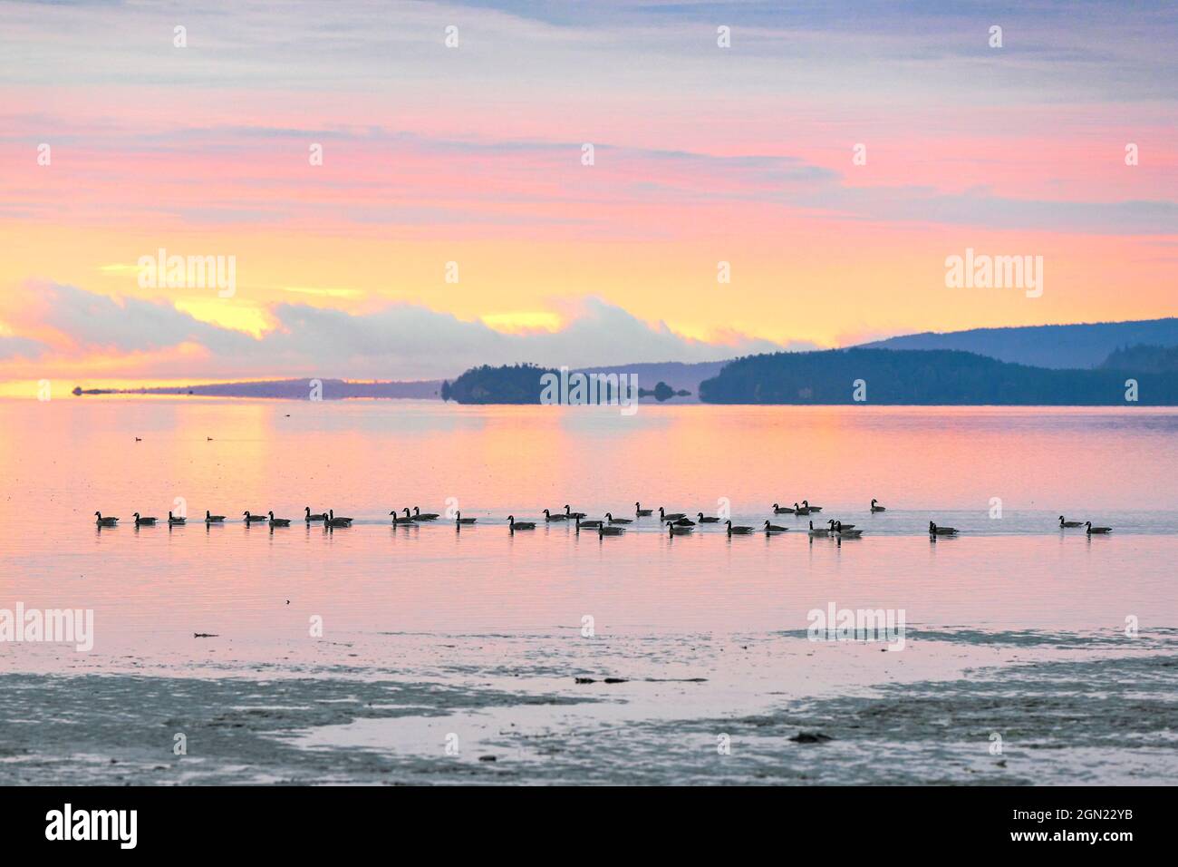 Courtenay the comox valley hi-res stock photography and images - Alamy