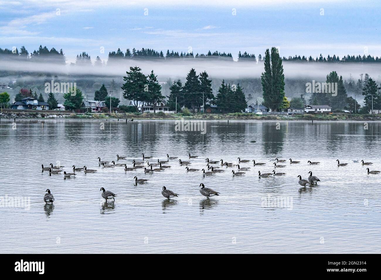 Courtenay the comox valley hi-res stock photography and images - Alamy
