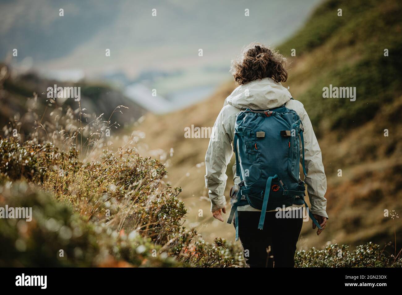 Wanderin from behind, Switzerland, hiking, mountains Stock Photo - Alamy