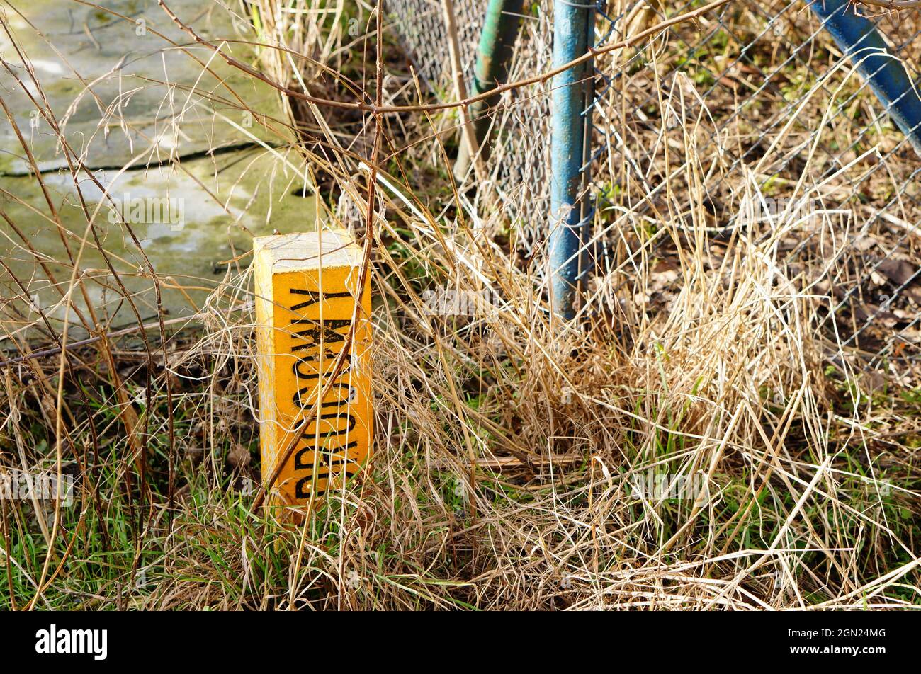 Yellow boundary mark surrounded with brown grass near the fence Stock ...