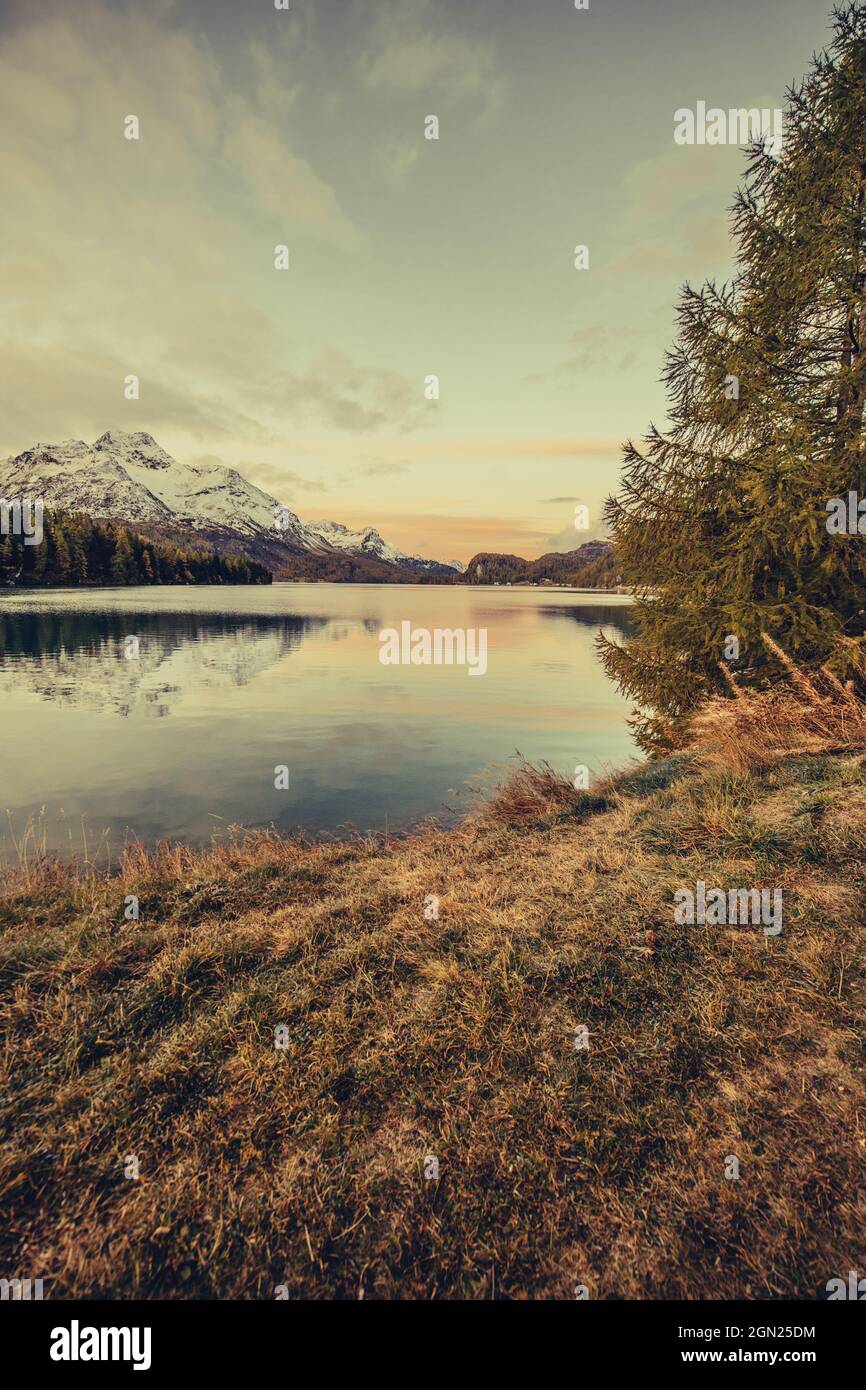 Sunrise on Lake Sils, Engadin, Grisons, Switzerland, Europe Stock Photo ...