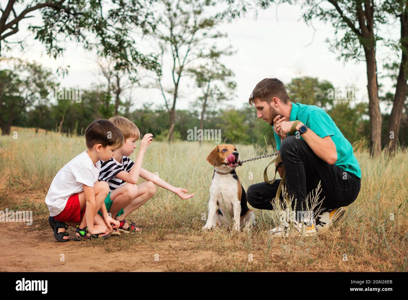 Father and Two Sons Teach Pet to Give Paw. Purebred Beagle Dog on Walk ...
