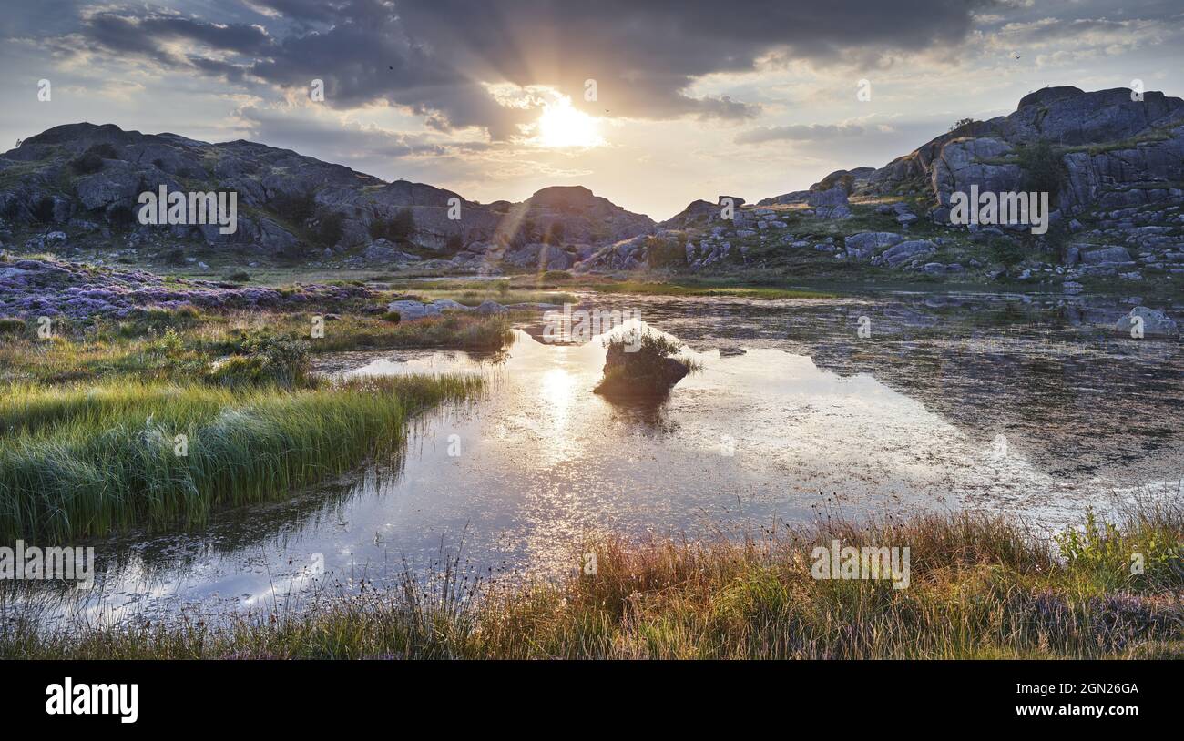 Coastal landscape, Eigeroya, Agder, Norway Stock Photo - Alamy