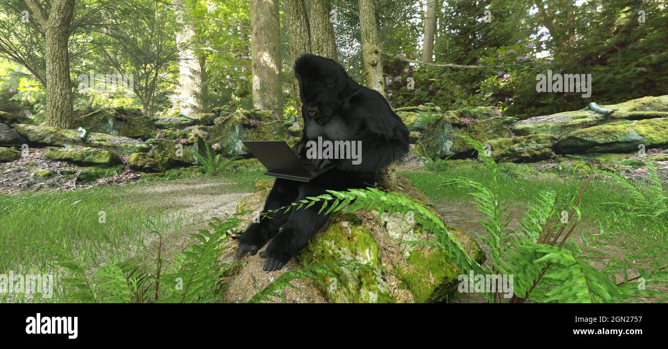 3D illustration gorilla with laptop in forest concept Stock Photo - Alamy