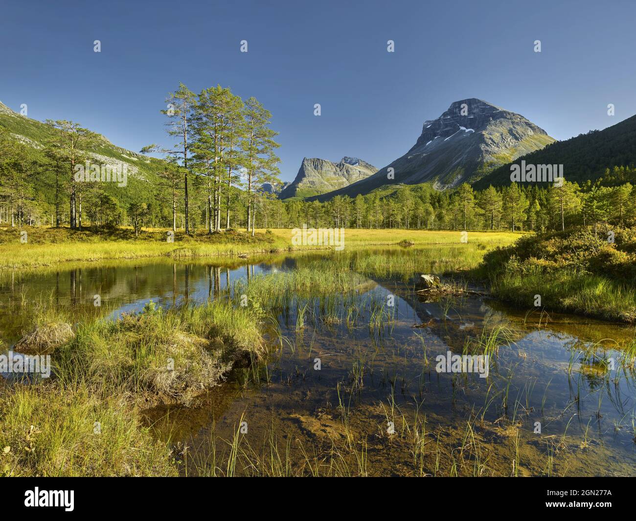 Innerdalstarnet, Skarfjellet, Innerdalen, More og Romsdal, Norway Stock ...