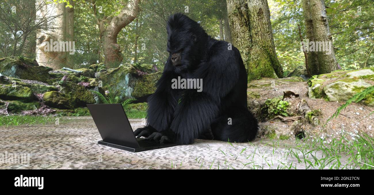 3D illustration gorilla with laptop in forest concept Stock Photo - Alamy