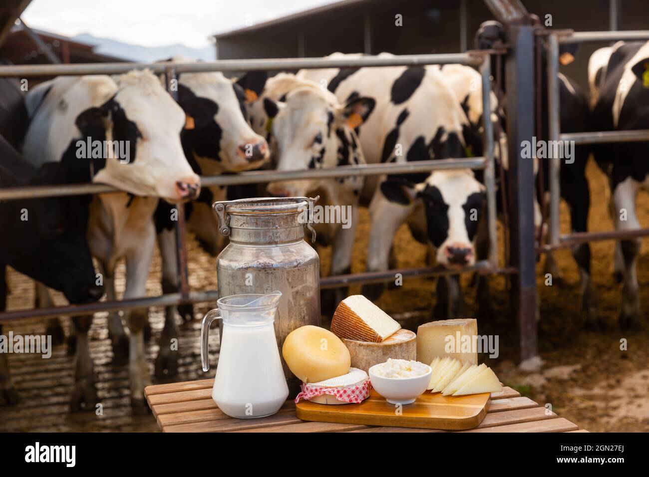 Useful animal products hi-res stock photography and images - Alamy