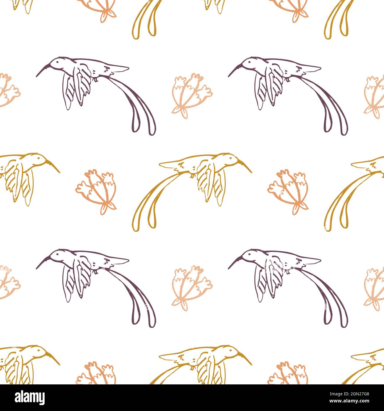 Victorian botanical hummingbird seamless vector background. Vintage ...