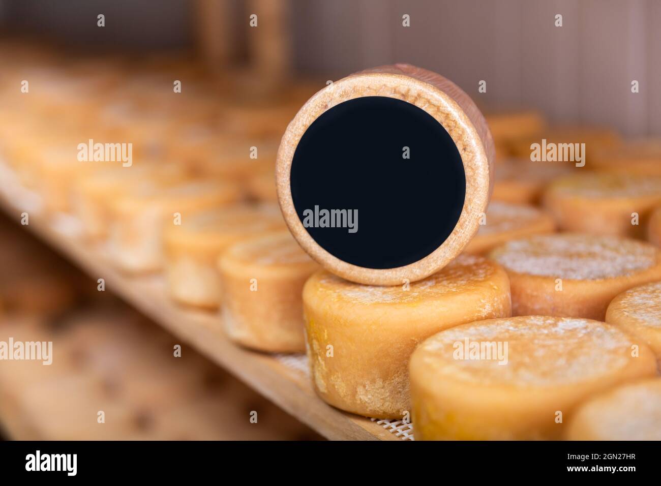 Wheels of sheep cheese on shelves in ripening room with copy space ...