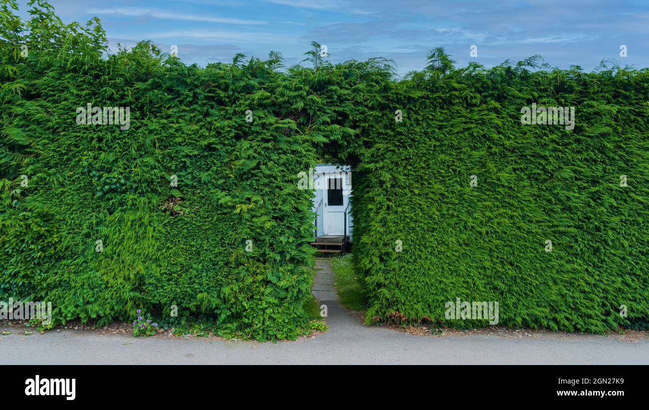 Greenery scenes hi-res stock photography and images - Alamy