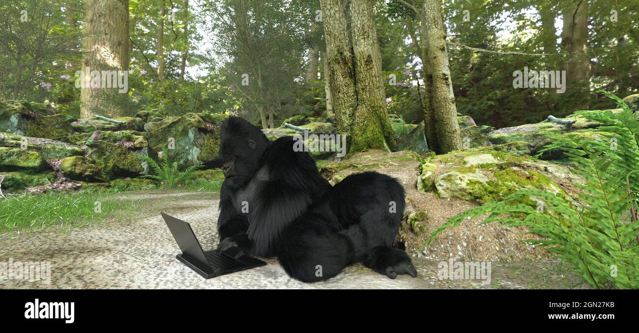 3D illustration gorilla with laptop in forest concept Stock Photo - Alamy