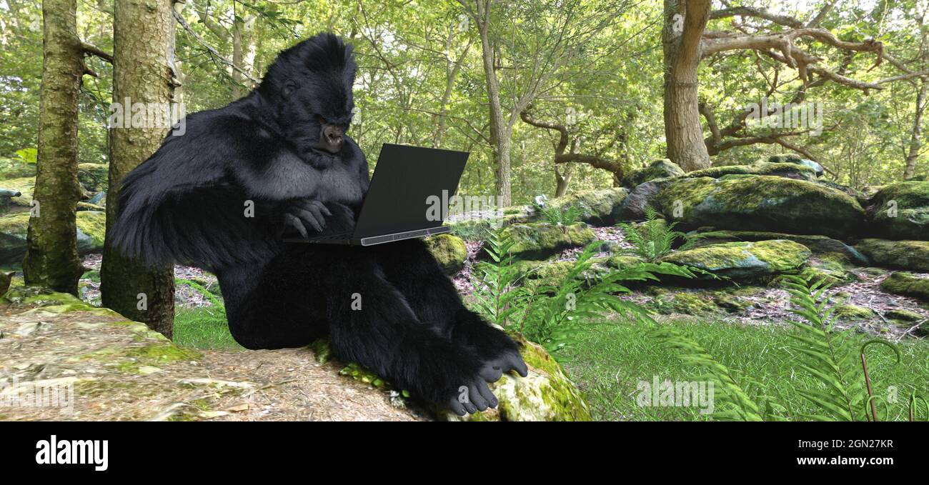 3D illustration gorilla with laptop in forest concept Stock Photo - Alamy