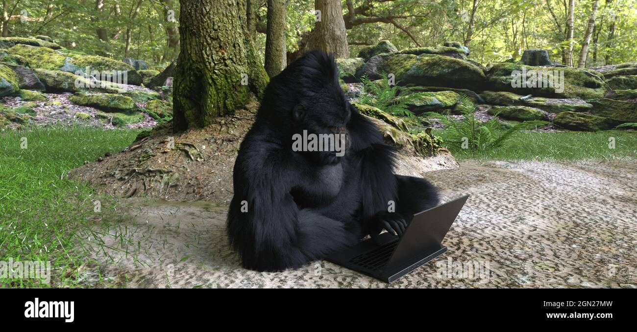 3D illustration gorilla with laptop in forest concept Stock Photo - Alamy