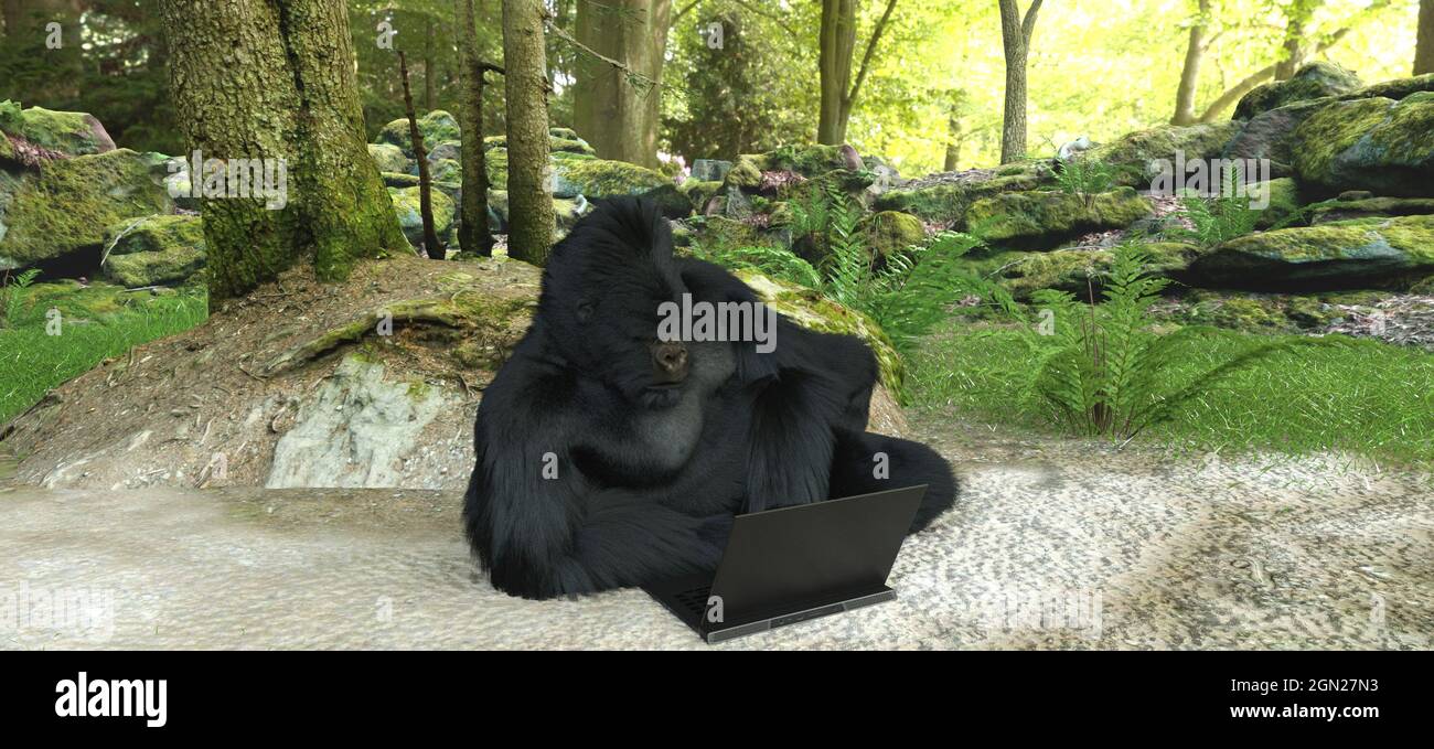 3D illustration gorilla with laptop in forest concept Stock Photo - Alamy