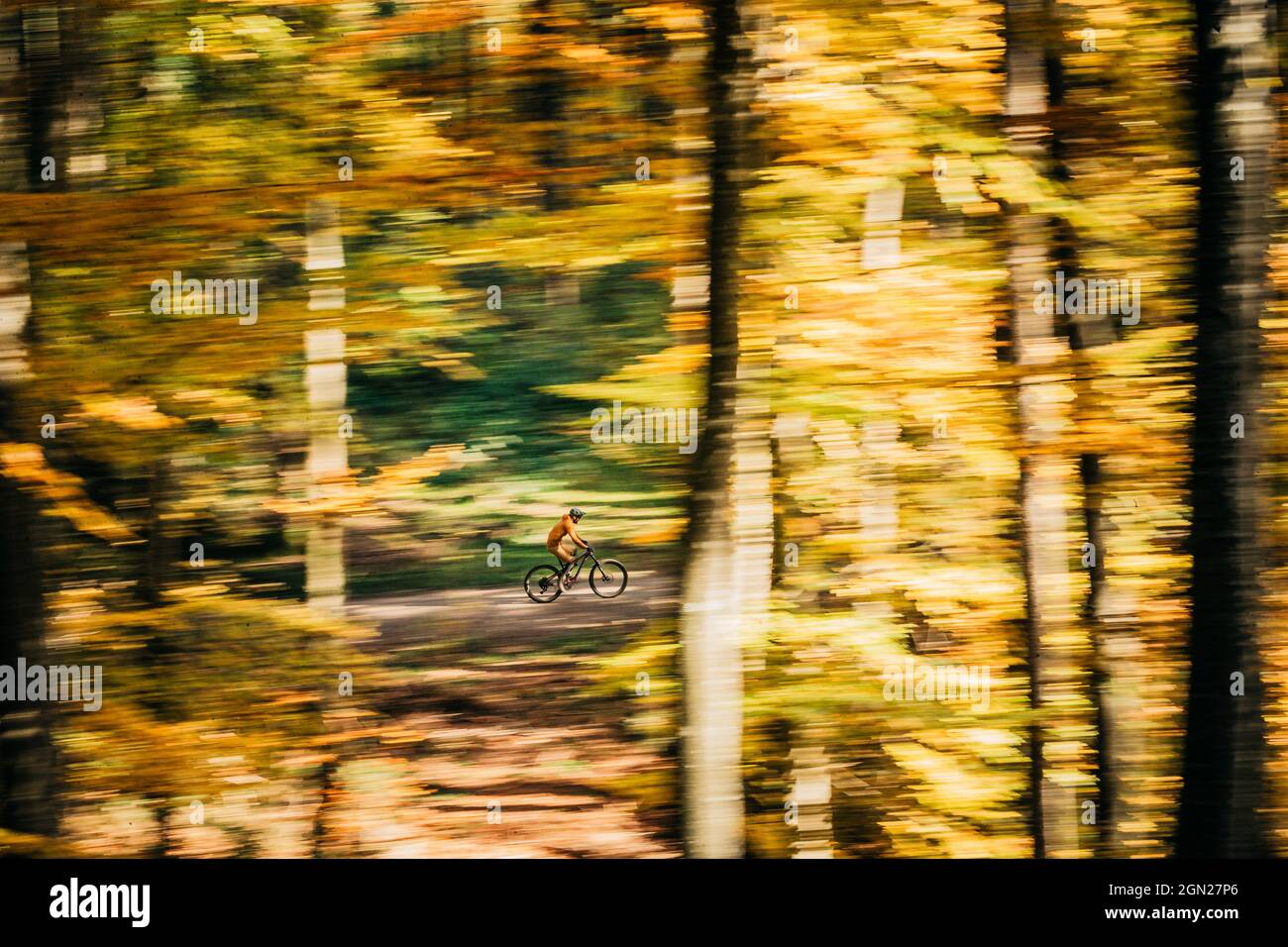Mountain biker rides through autumn forest, wheel, bicycle, mountain ...
