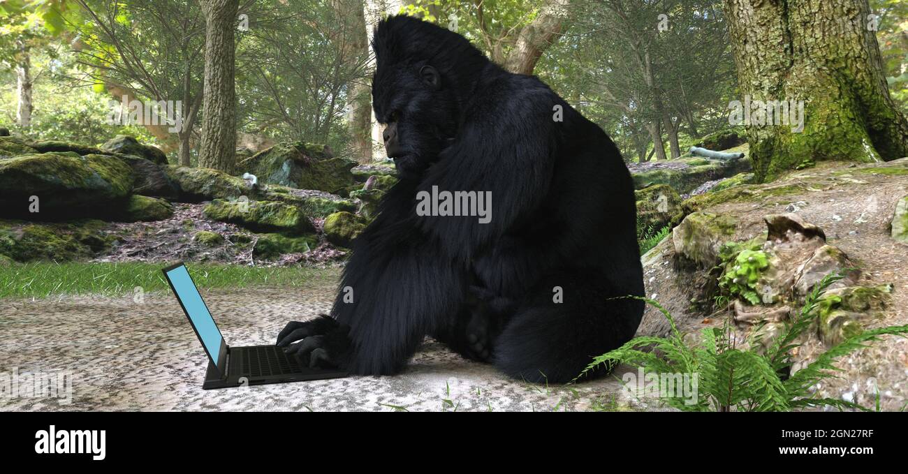 3D illustration gorilla with laptop in forest concept Stock Photo - Alamy