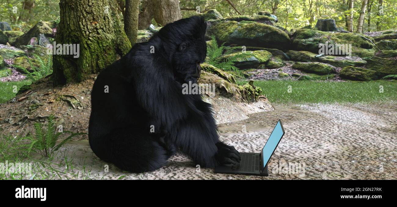 3D illustration gorilla with laptop in forest concept Stock Photo - Alamy