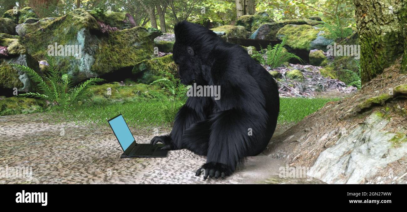 3D illustration gorilla with laptop in forest concept Stock Photo - Alamy