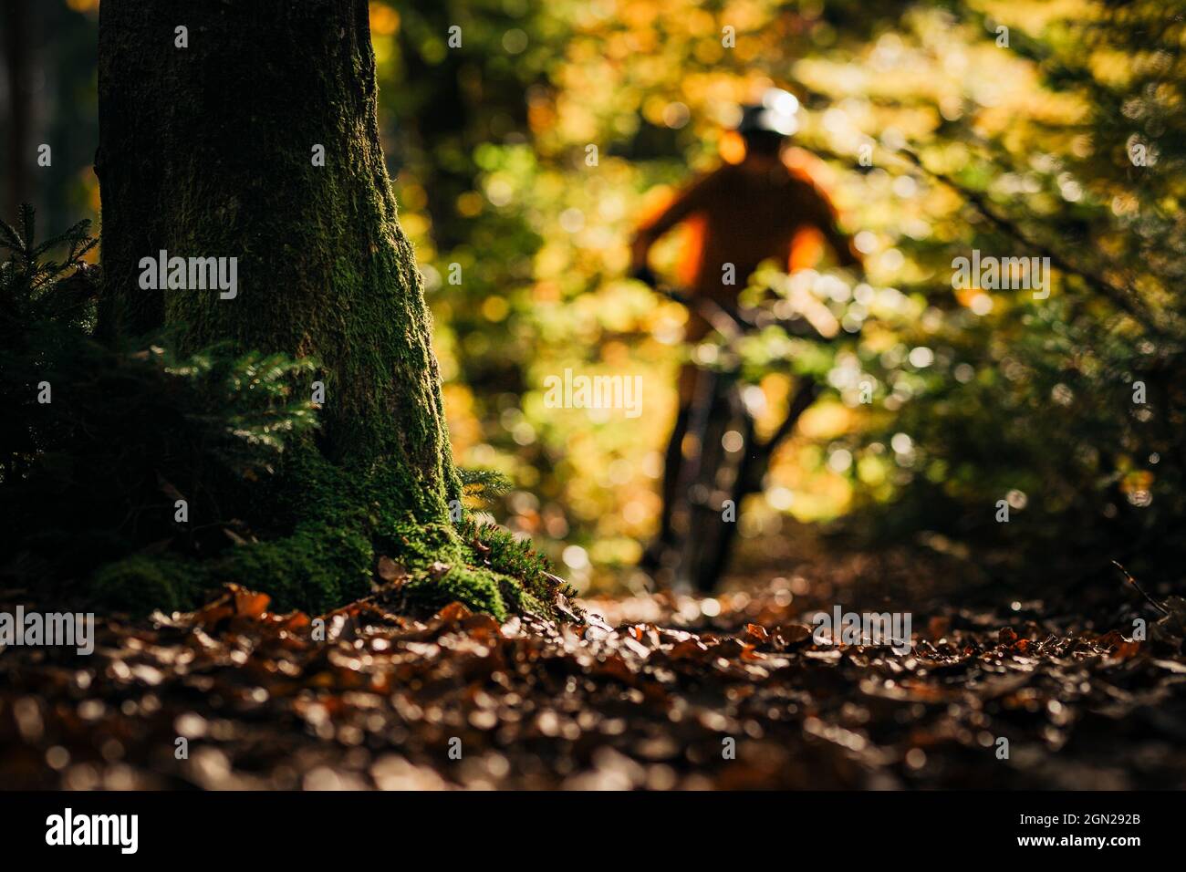 Balanced balancing cyclist hi-res stock photography and images - Alamy