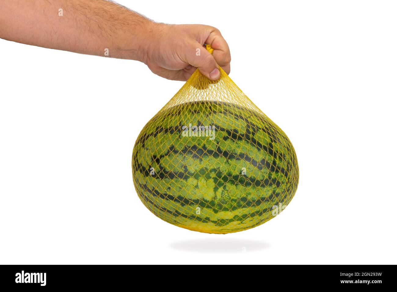 hands hold a watermelon in a string bag on a white background. berry in ...
