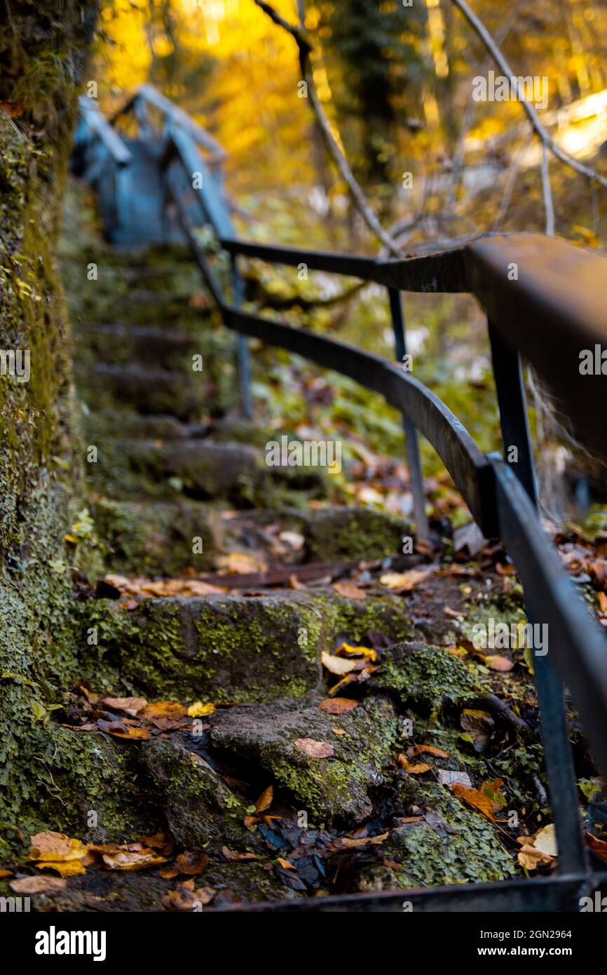 Mossy stone stairs with rusty metallic railings in the forest Stock ...