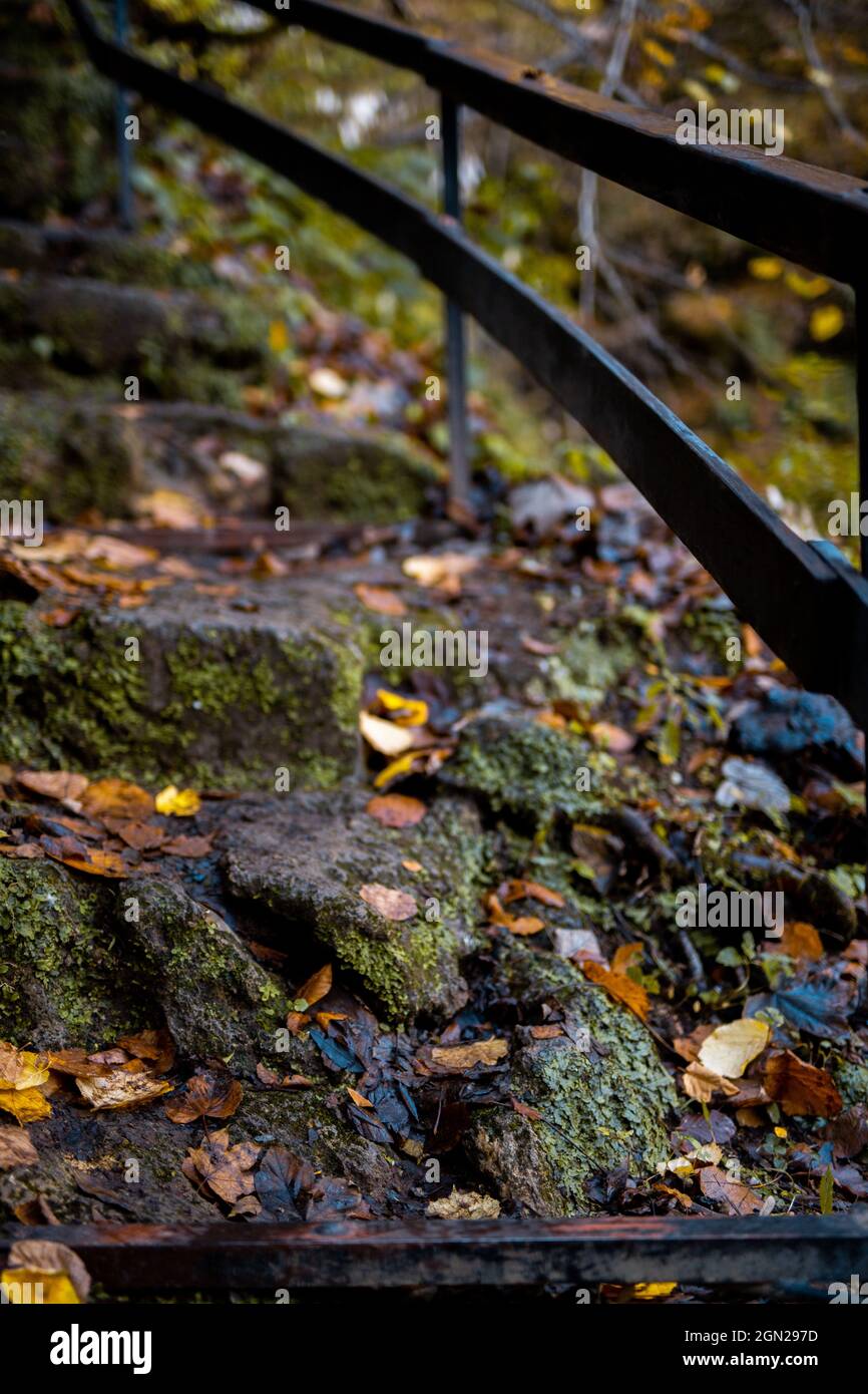 Mossy stone stairs with rusty metallic railings in the forest Stock ...