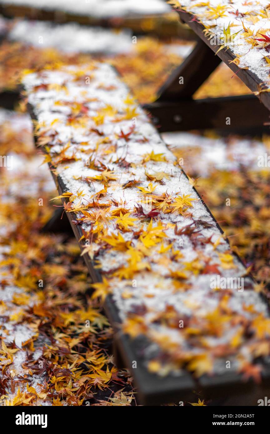 Red bench japanese garden hi-res stock photography and images - Alamy