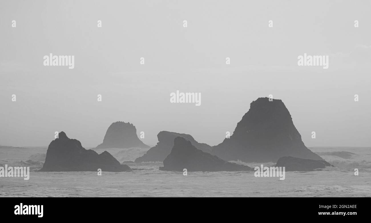 Small rock islands in the fog at Ruby Beach, Washington Stock Photo - Alamy