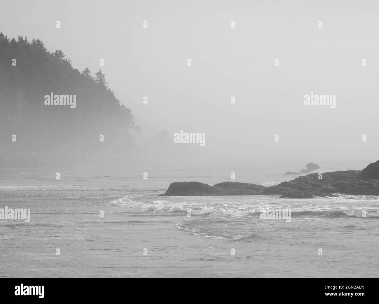 Small rock islands in the fog at Ruby Beach, Washington Stock Photo - Alamy