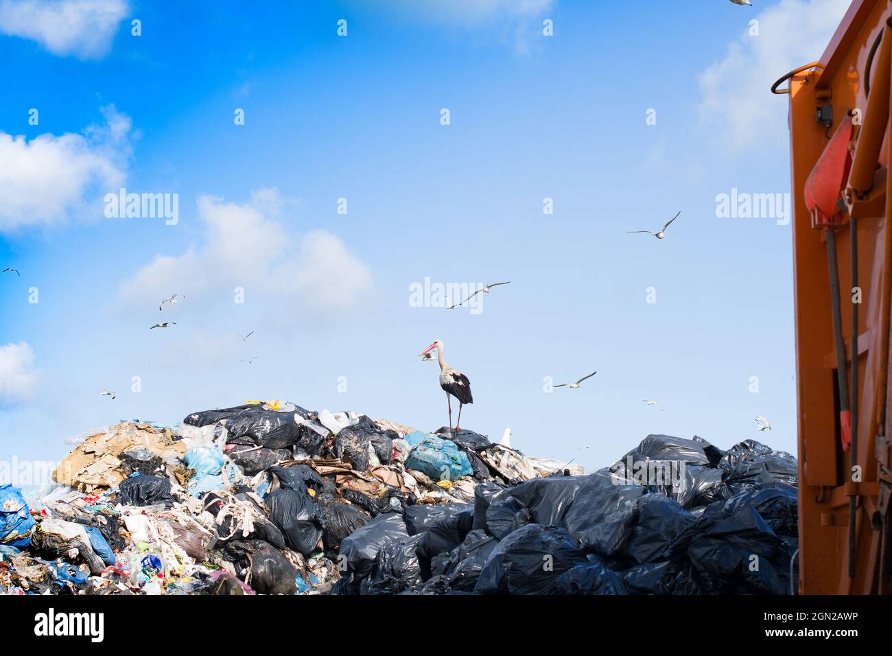 garbage truck unloading at a landfill Stock Photo - Alamy