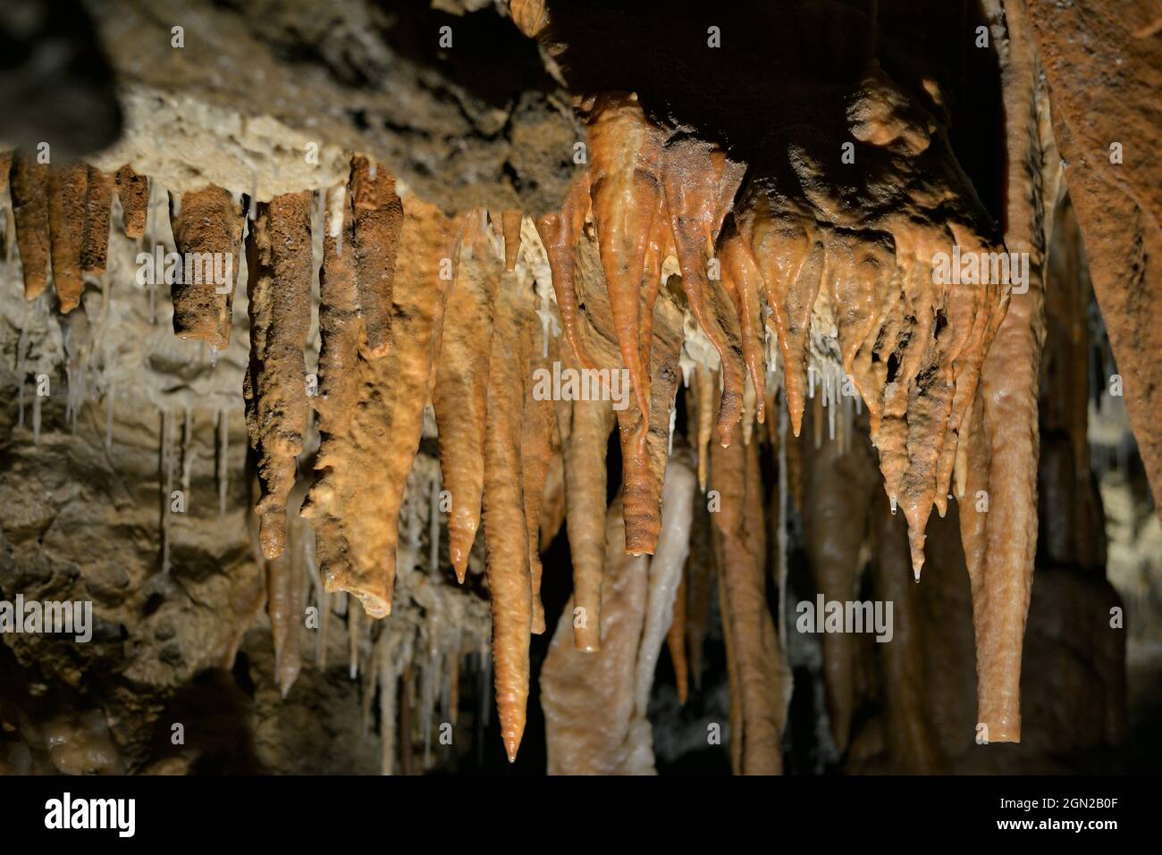 The Fontrabiouse cave is located in the northern Catalan region of ...