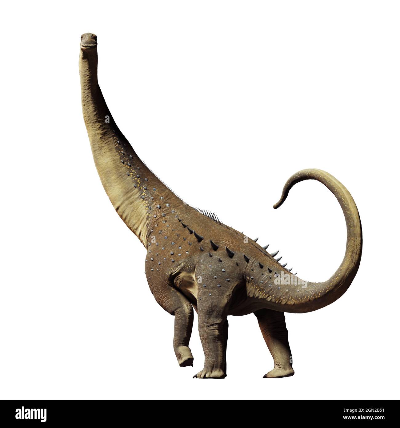 Titanosaurus Dinosaur